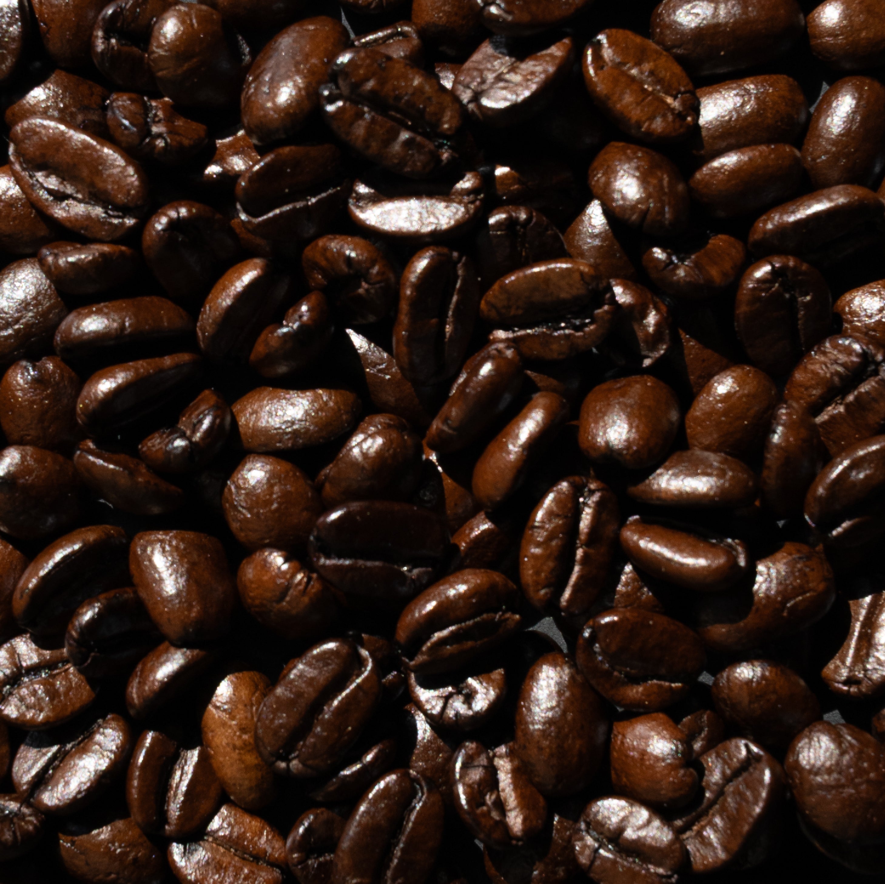 Specialty Coffee – BULLET ESPRESSO